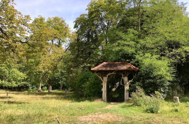 Balade sur le sentier des Gorges de Franchard • Paris sur un fil