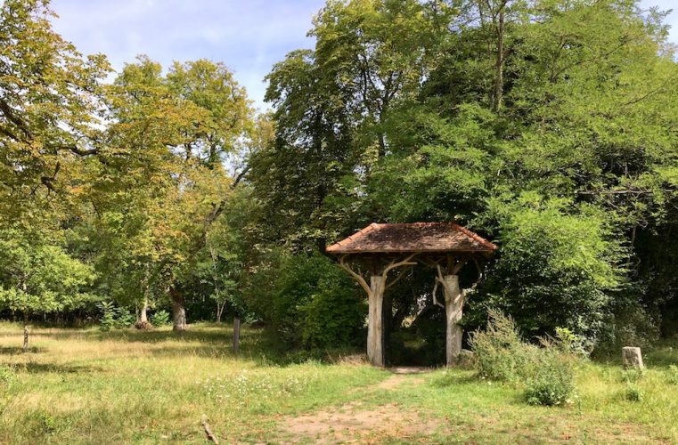 Balade sur le sentier des Gorges de Franchard • Paris sur un fil