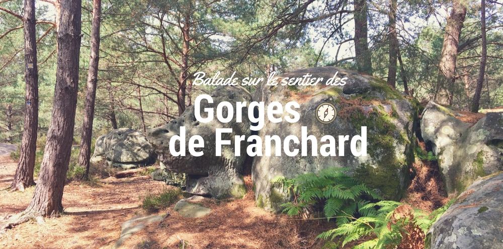 Balade sur le sentier des Gorges de Franchard • Paris sur un fil