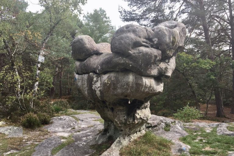 Balade sur le sentier des Gorges de Franchard • Paris sur un fil